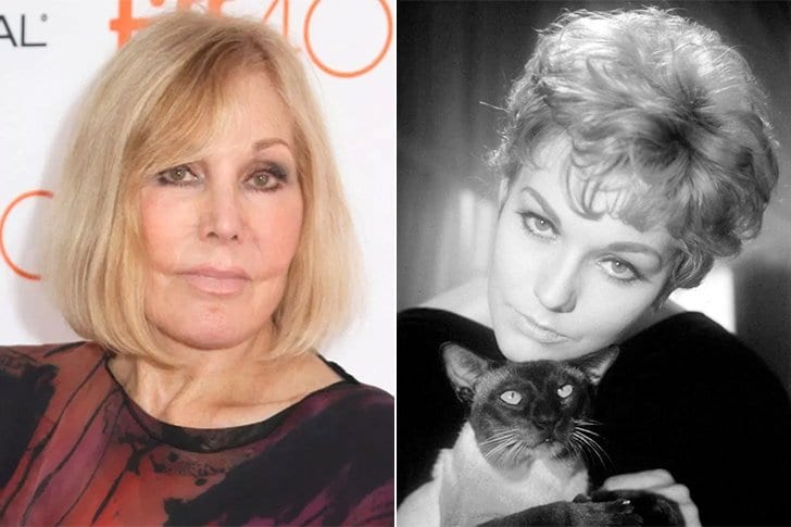Celebs You Thought Were Long Gone But Are Still Living Their Dreams ...